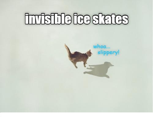 Invisible ice skates - Lolcats - lol | cat memes | funny cats | funny ...