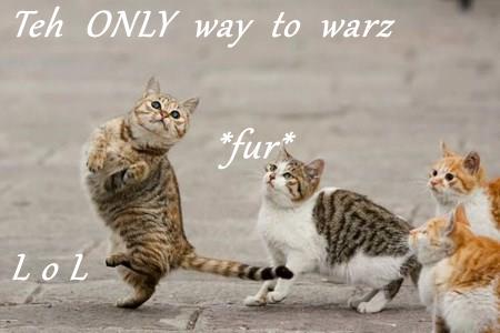 Teh ONLY way - Lolcats - lol | cat memes | funny cats | funny cat ...