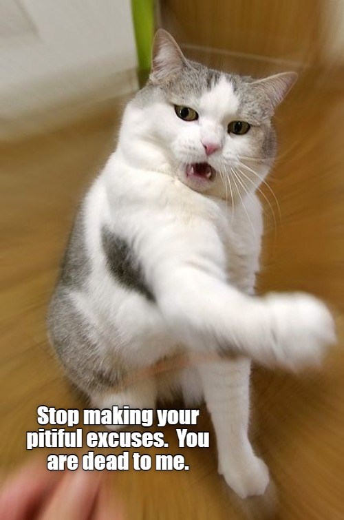 Stop - Lolcats - lol | cat memes | funny cats | funny cat pictures with ...