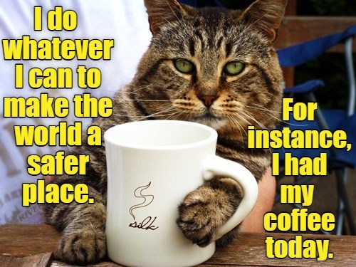 There's safety in numbers. Bring another cup. - Lolcats - lol | cat ...