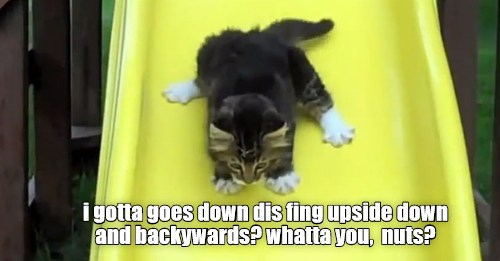 Lolympics entrant Ruffles is horrified to find out what the luge event ...