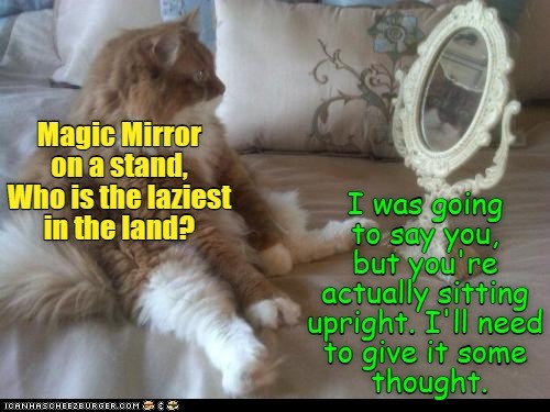 Don't ask a question you don't want answered. - Lolcats - lol | cat ...