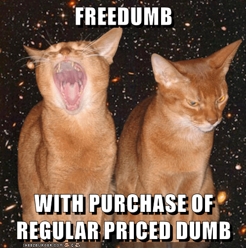 FREEDUMB - Lolcats - lol | cat memes | funny cats | funny cat pictures ...