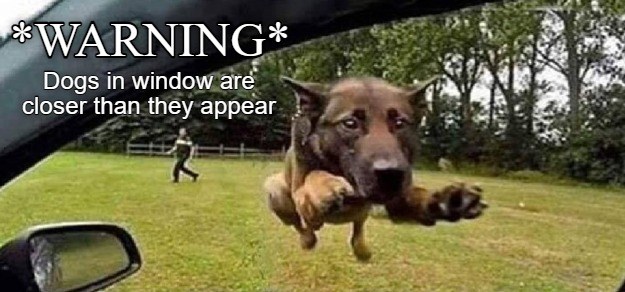 *WARNING* - I Has A Hotdog - Dog Pictures - Funny pictures of dogs ...