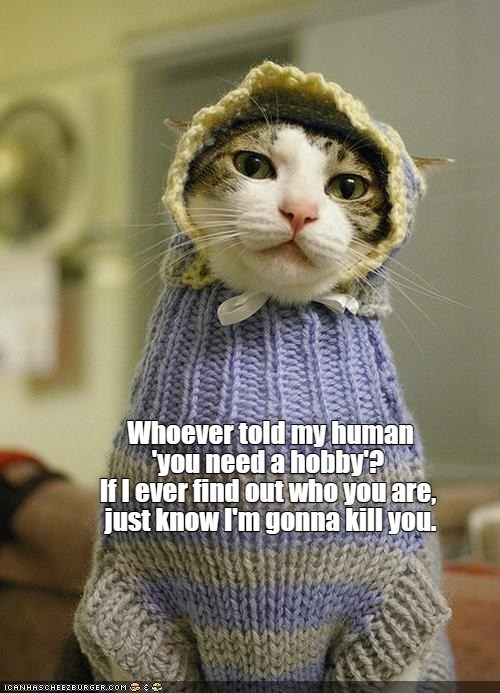 you need a hobby... - Lolcats - lol | cat memes | funny cats | funny ...