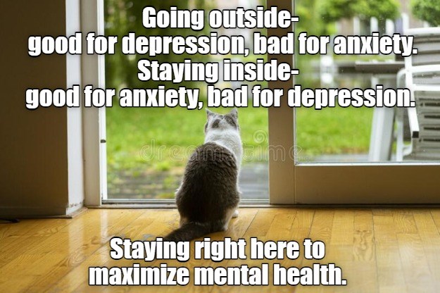 A Happy Medium - Lolcats - lol | cat memes | funny cats | funny cat ...