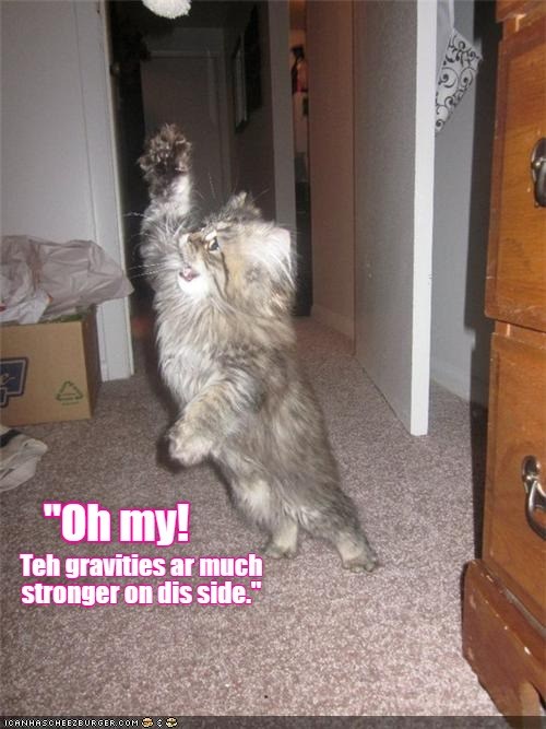 Jeffrey makes a great scientific discovery! - Lolcats - lol | cat memes ...