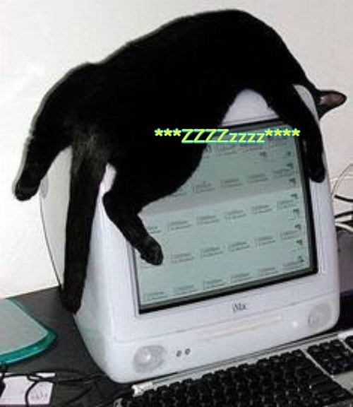 Theodore's new job as a computer technician is working out quite well ...
