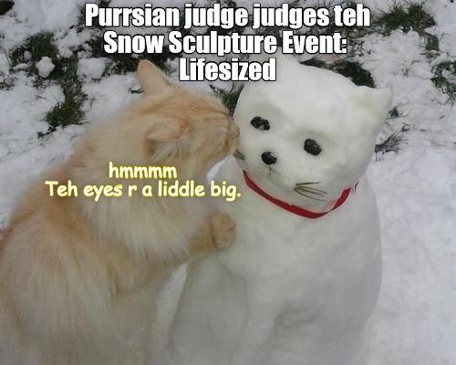 Judges are judgy at teh Winter Lolympics 2022 - Lolcats - lol | cat ...