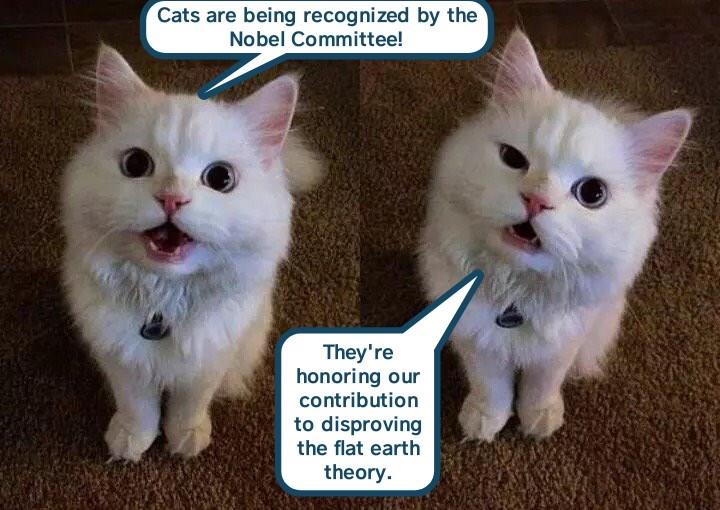 "If Earth was flat, cats would have knocked everything over the edge by ...