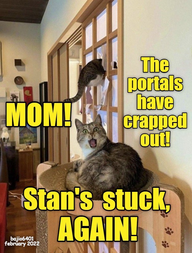 STAN IS STUCK - Lolcats - lol | cat memes | funny cats | funny cat ...