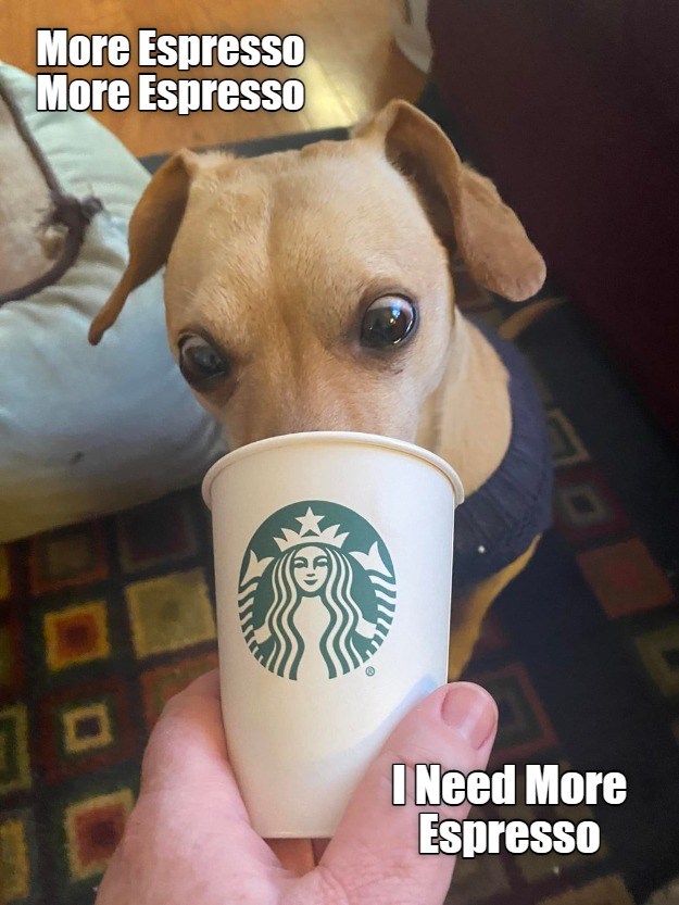 Keep It Coming - I Has A Hotdog - Dog Pictures - Funny pictures of dogs ...