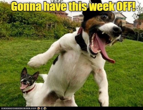 YAY! - I Has A Hotdog - Dog Pictures - Funny pictures of dogs - Dog ...