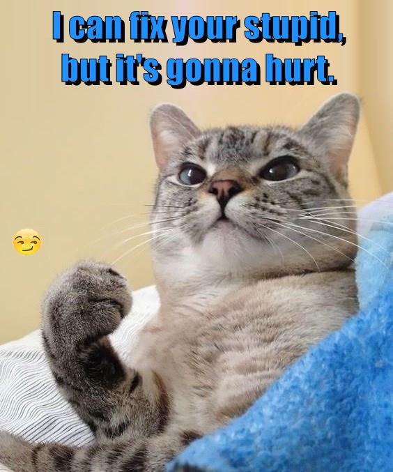 I can fix your stupid - Lolcats - lol | cat memes | funny cats | funny ...