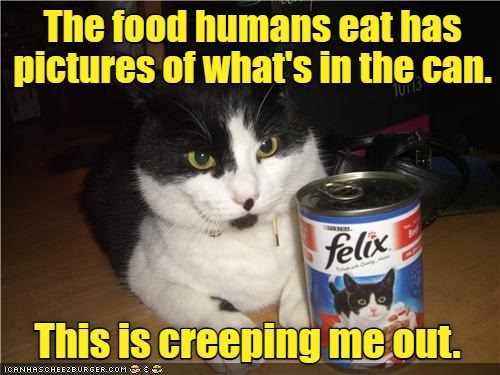 Is there cat in cat food? - Lolcats - lol | cat memes | funny cats ...