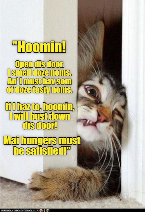 Determination.. kittie has it! - Lolcats - lol | cat memes | funny cats ...