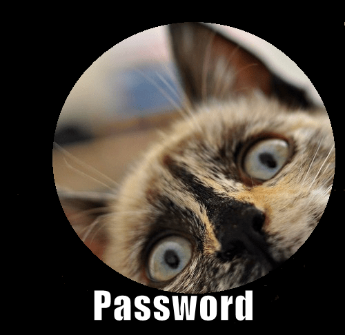 Password - Lolcats - lol | cat memes | funny cats | funny cat pictures ...