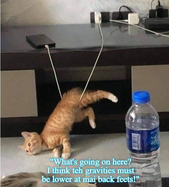 Sally makes an important scientific discovery! Will she win the Nobel ...