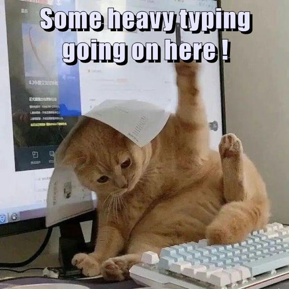 Some heavy typing going on here ! - Lolcats - lol | cat memes | funny cats | funny cat pictures ...