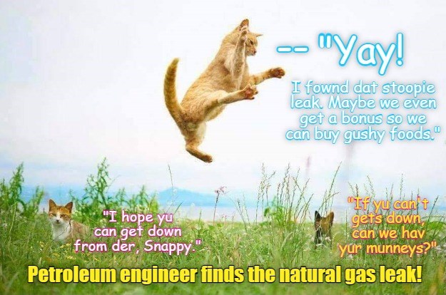 SUCCESS! - Lolcats - lol | cat memes | funny cats | funny cat pictures ...