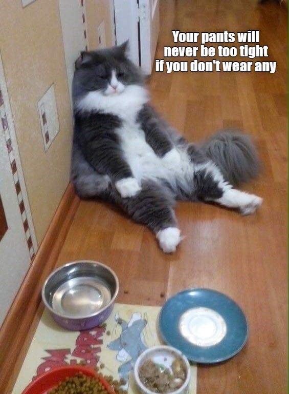 Not technically wrong... - I Can Has Cheezburger?