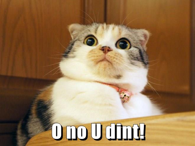 O no U dint! - Lolcats - lol | cat memes | funny cats | funny cat ...