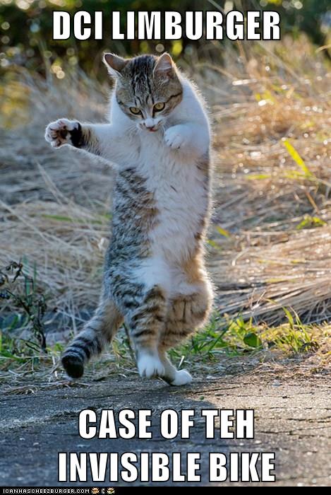 DCI LIMBURGER - Lolcats - lol | cat memes | funny cats | funny cat ...