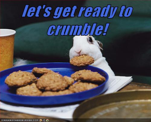 let's get ready to crumble! - Animal Comedy - Animal Comedy, funny ...