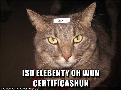 ISO ELEBENTY OH WUN CERTIFICASHUN - Lolcats - lol | cat memes | funny ...