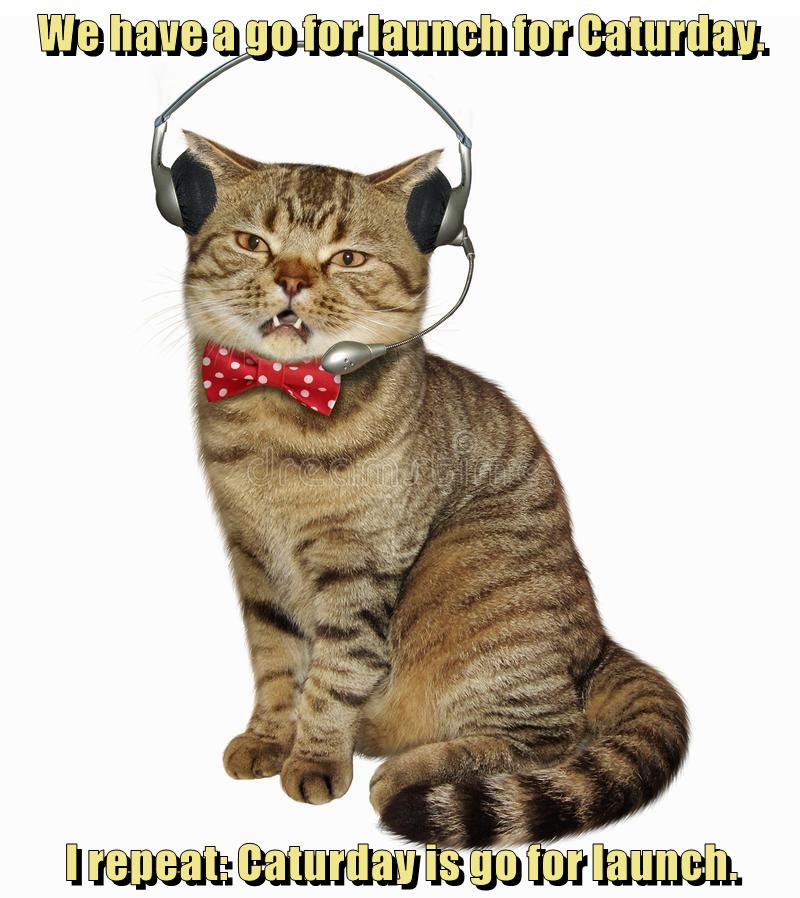 I repeat - Lolcats - lol | cat memes | funny cats | funny cat pictures ...