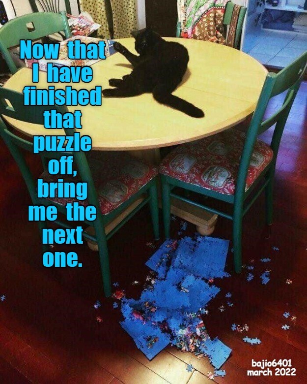 HE LOVES DOING PUZZLES - Lolcats - lol | cat memes | funny cats | funny ...