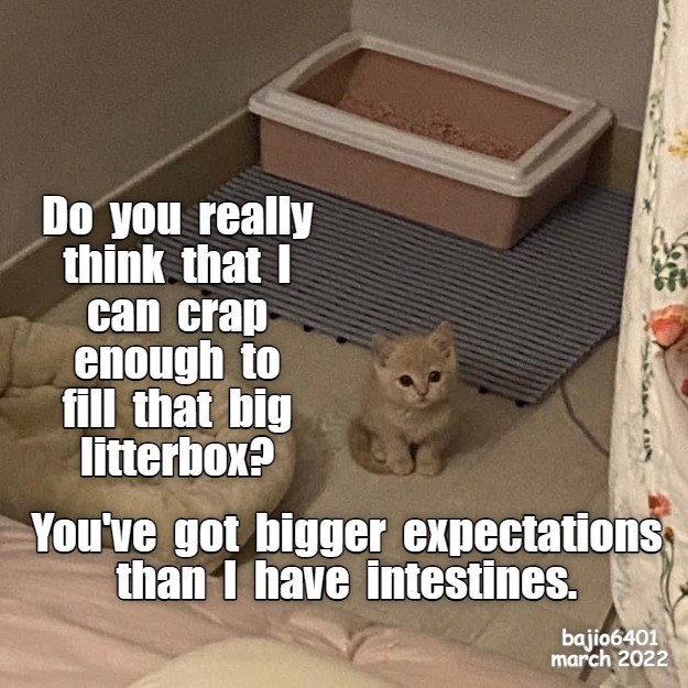 AND THERE'S NO WAY I CAN EAT ENOUGH TO DO THAT - Lolcats - lol | cat ...