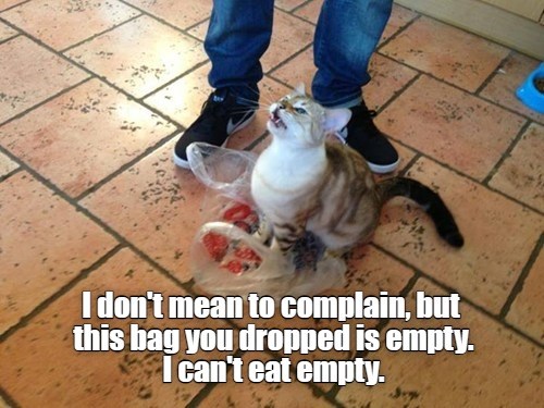 I can't eat empty - Lolcats - lol | cat memes | funny cats | funny cat ...