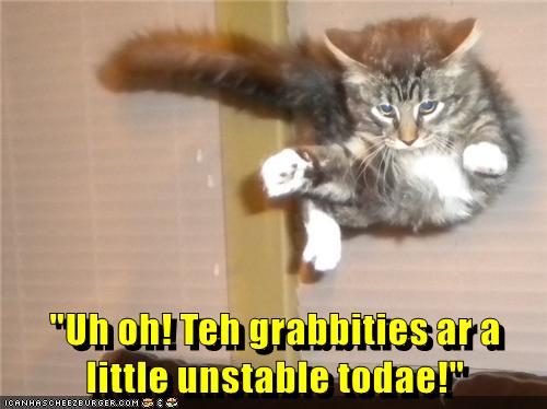 "Uh oh! " - Lolcats - lol | cat memes | funny cats | funny cat pictures ...