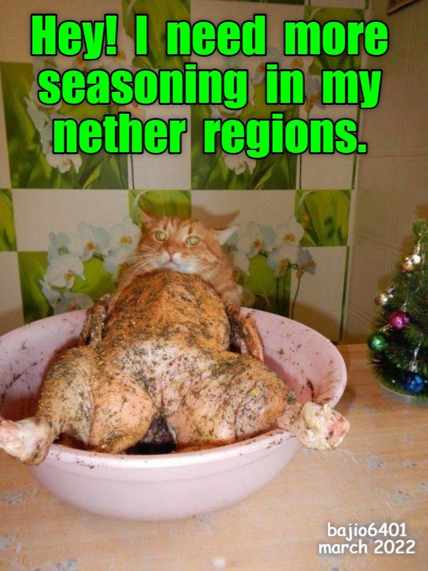 THE COOK IS SLACKING OFF - Lolcats - lol | cat memes | funny cats ...