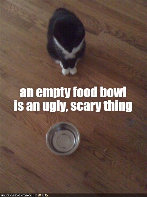 An empty food bowl is an ugly, scary thing - Lolcats - lol | cat memes ...