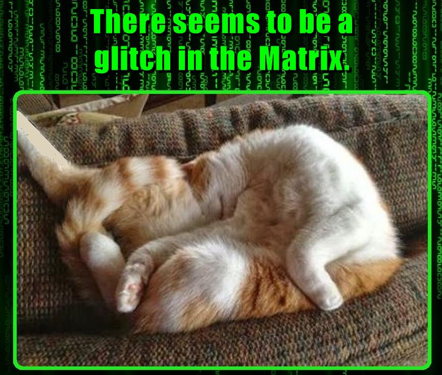 A glitch in the Matrix. - Lolcats - lol | cat memes | funny cats ...