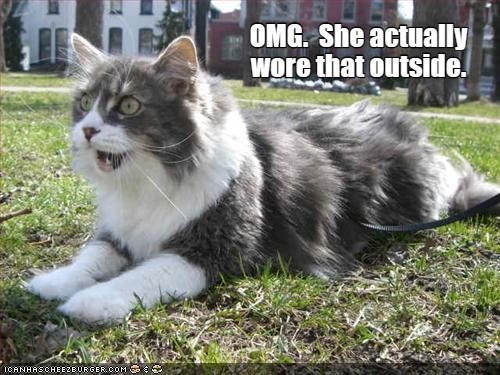 Outrageous - Lolcats - lol | cat memes | funny cats | funny cat ...