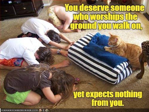 It is as it should be. - Lolcats - lol | cat memes | funny cats | funny ...