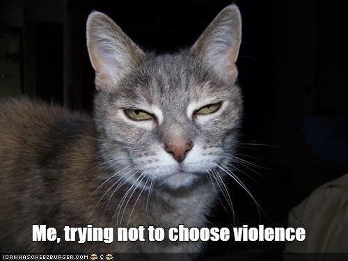 Try Harder - Lolcats - lol | cat memes | funny cats | funny cat ...