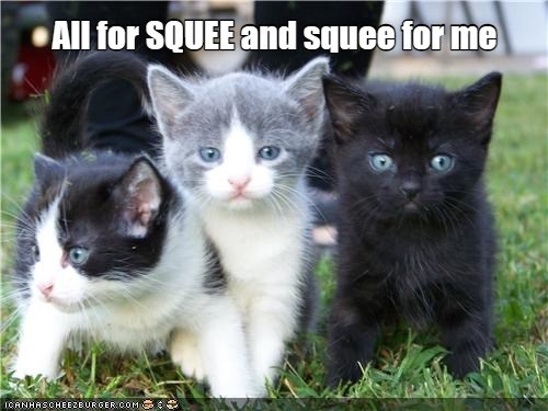 The three squees - Lolcats - lol | cat memes | funny cats | funny cat ...