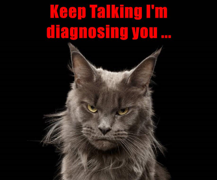 Keep Talking - Lolcats - lol | cat memes | funny cats | funny cat ...