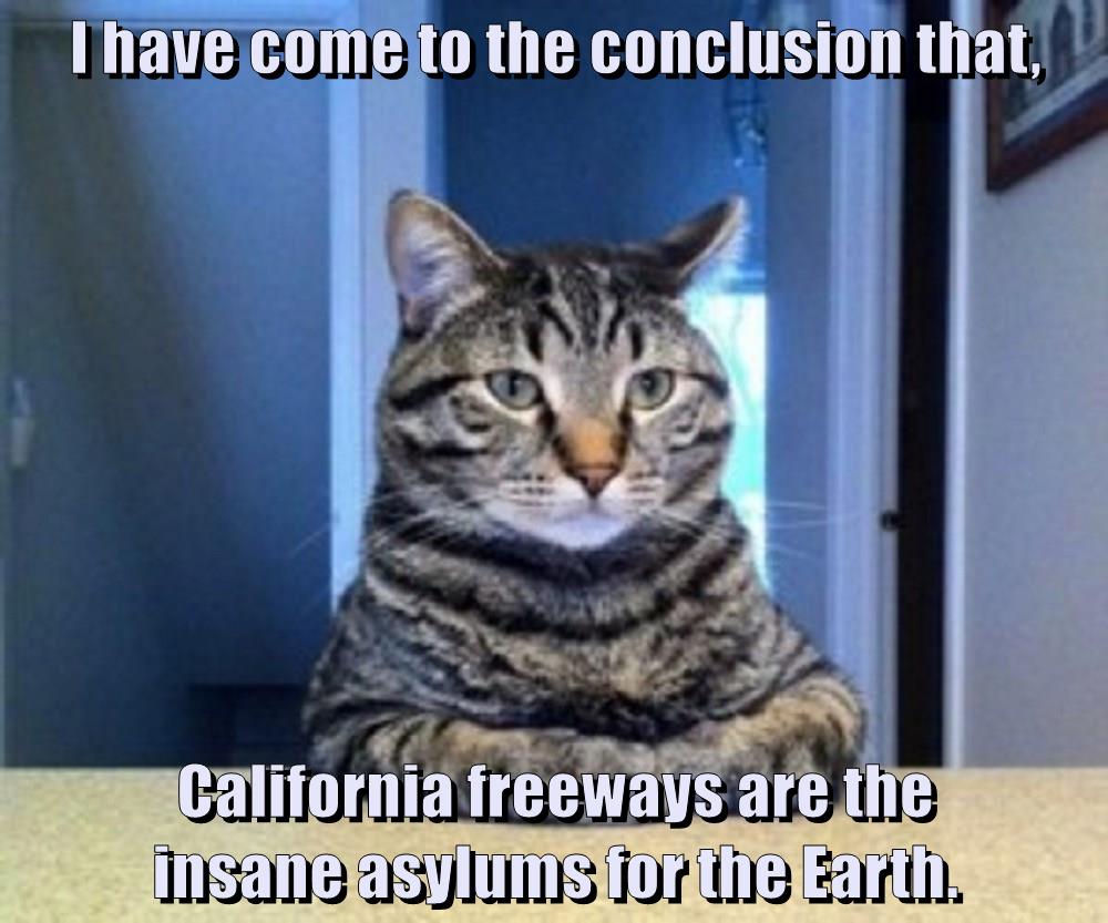 Conclusions insane asylums for the Earth. - Lolcats - lol | cat memes ...