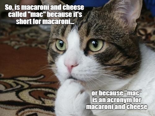 I Just Don't Know - Lolcats - lol | cat memes | funny cats | funny cat ...