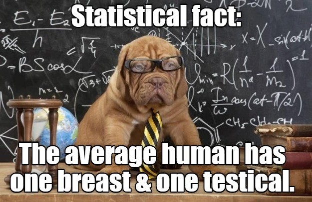 Science Dog sciences! - I Has A Hotdog - Dog Pictures - Funny pictures ...