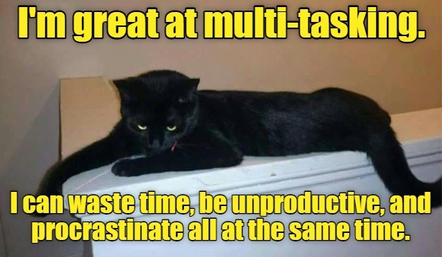 It's a great skill I have. - Lolcats - lol | cat memes | funny cats ...