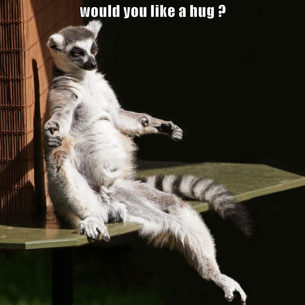Would you like a hug ? - Animal Comedy - Animal Comedy, funny animals ...