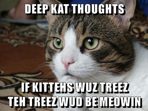 DEEP KAT THOUGHTS - Lolcats - lol | cat memes | funny cats | funny cat ...