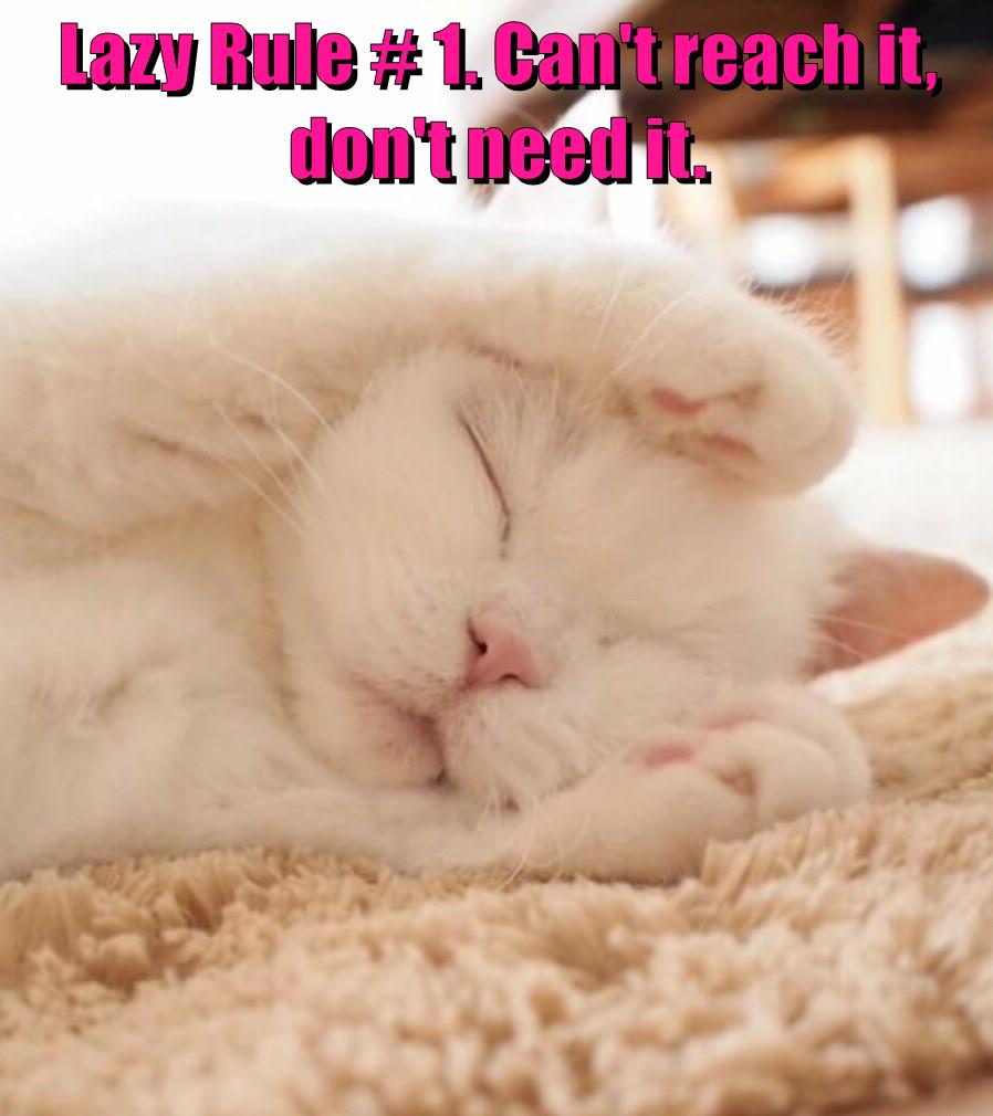 Lazy Rule # 1. - Lolcats - lol | cat memes | funny cats | funny cat ...