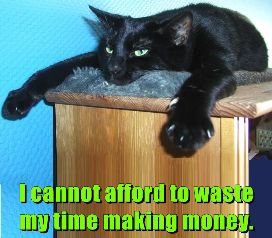 I cannot afford - Lolcats - lol | cat memes | funny cats | funny cat ...